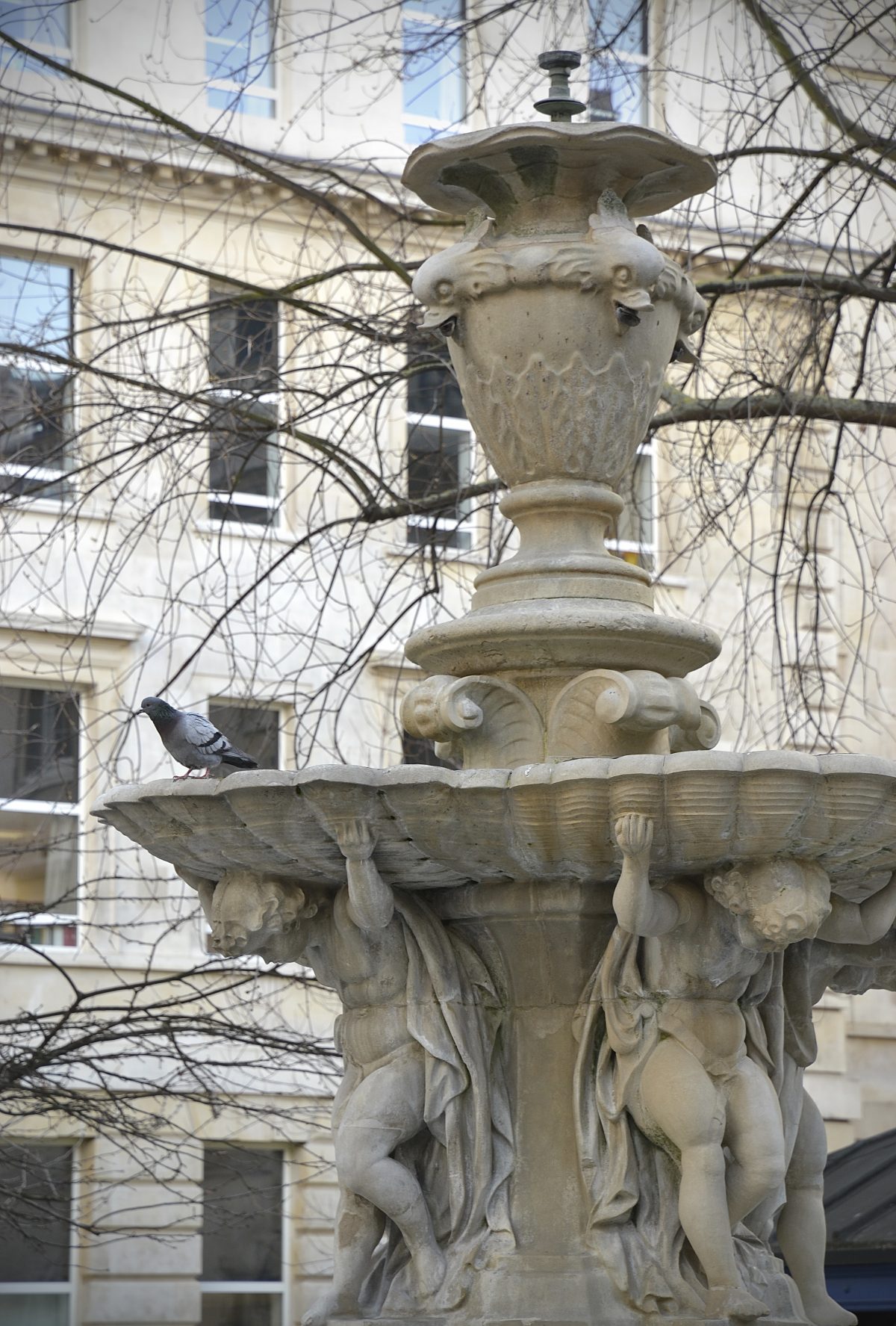 Fountain-Pigeon - Barts Guild